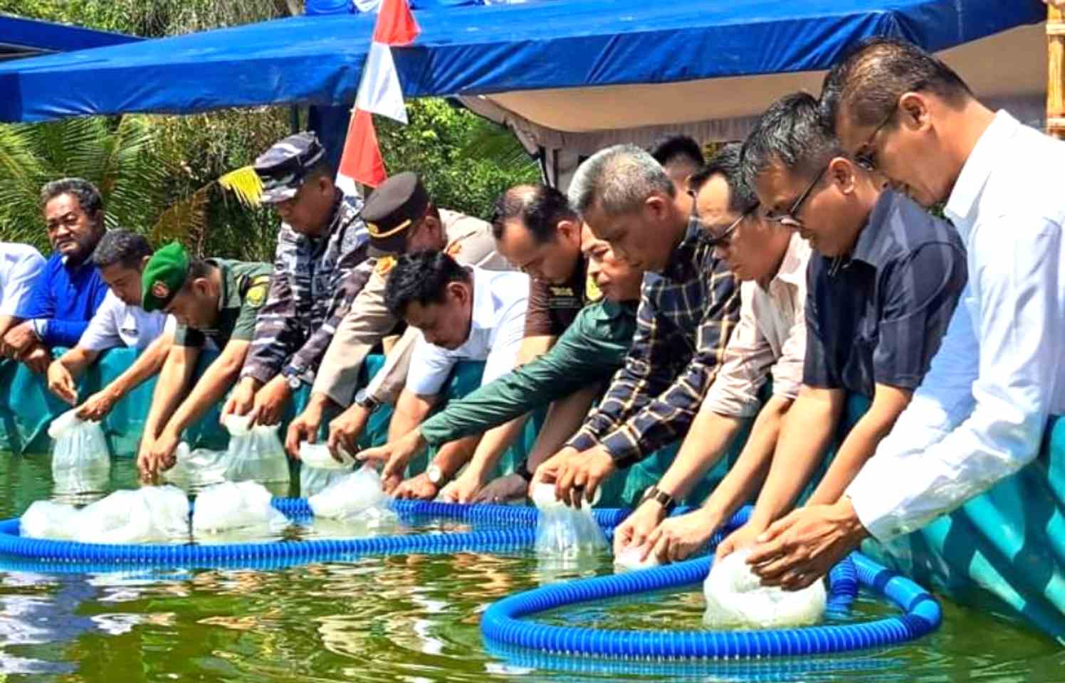 PT. PLN UIW Babel Dan Dinas Perikanan Belitung Ceremonial Tebar Benih ...